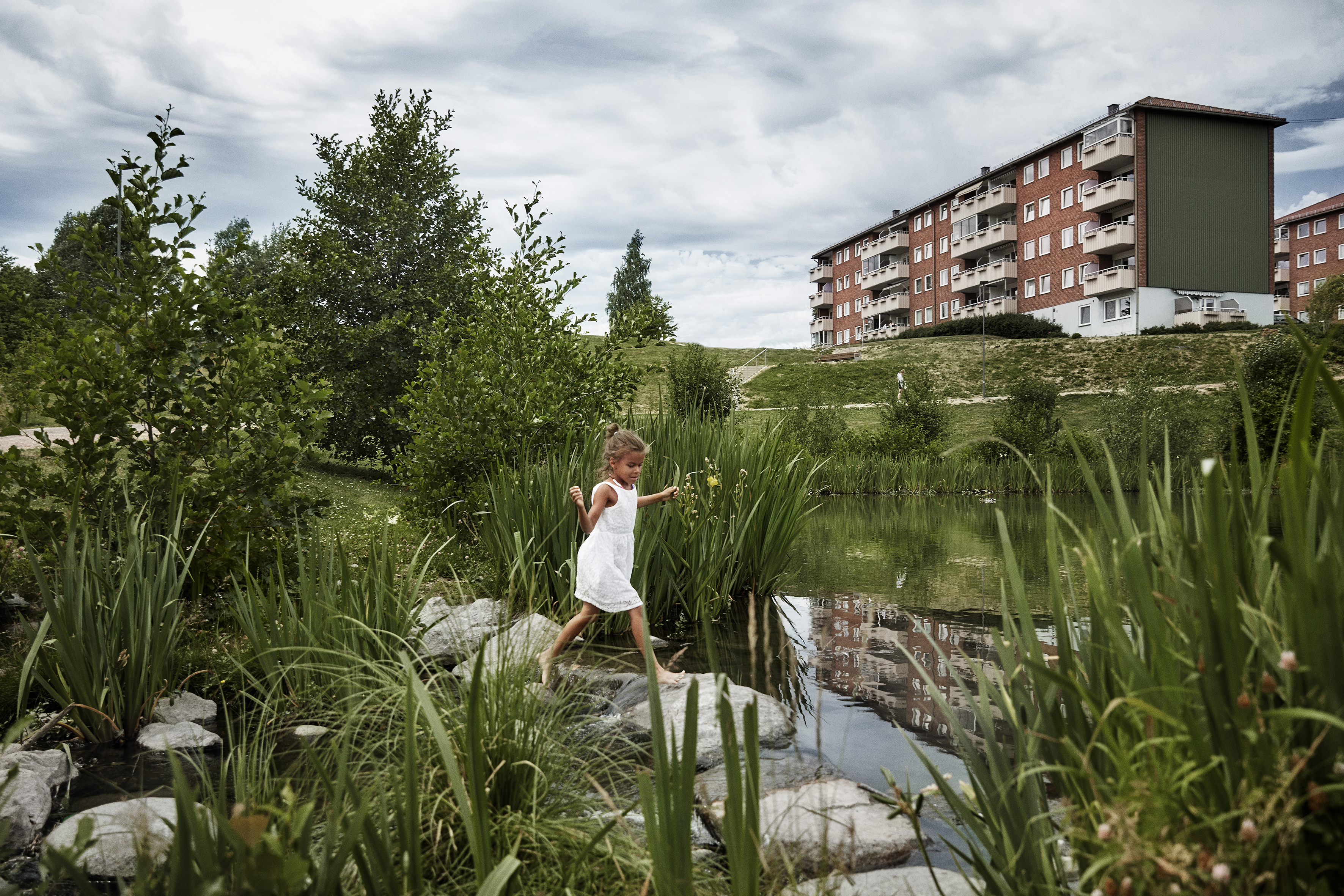 Bringing nature into cities can improve ecosystem services and local ...
